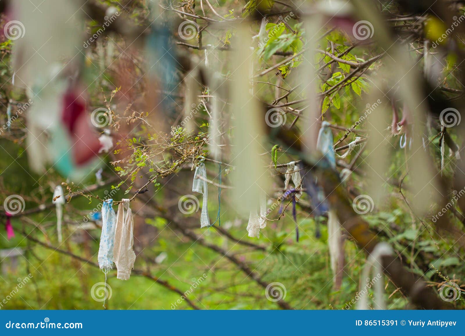 Shamanic tree stock image. Image of national, russia - 86515391