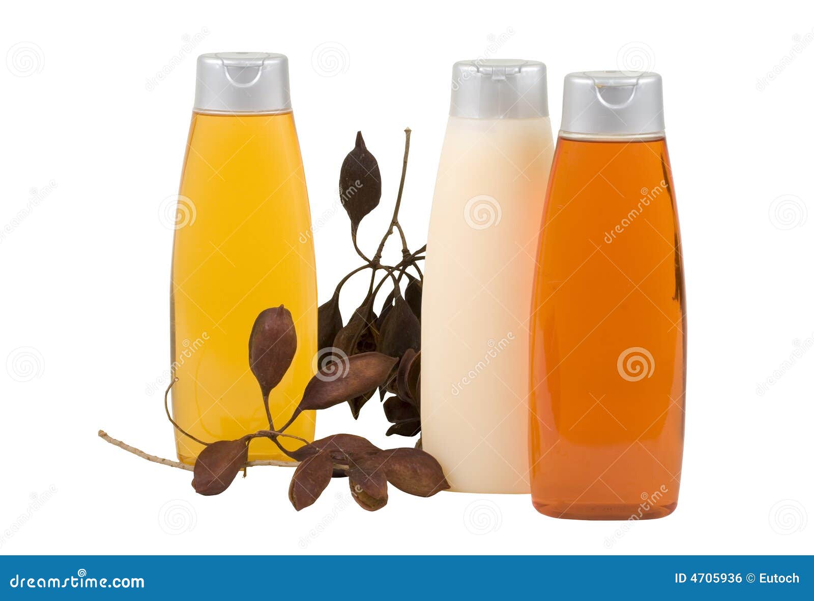 Shampoo and Conditioner with Seeds in Pods Stock Photo - Image of husk ...