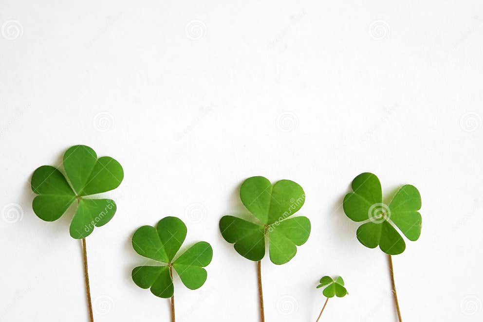 Shamrock border stock image. Image of pick, path, four - 1938327