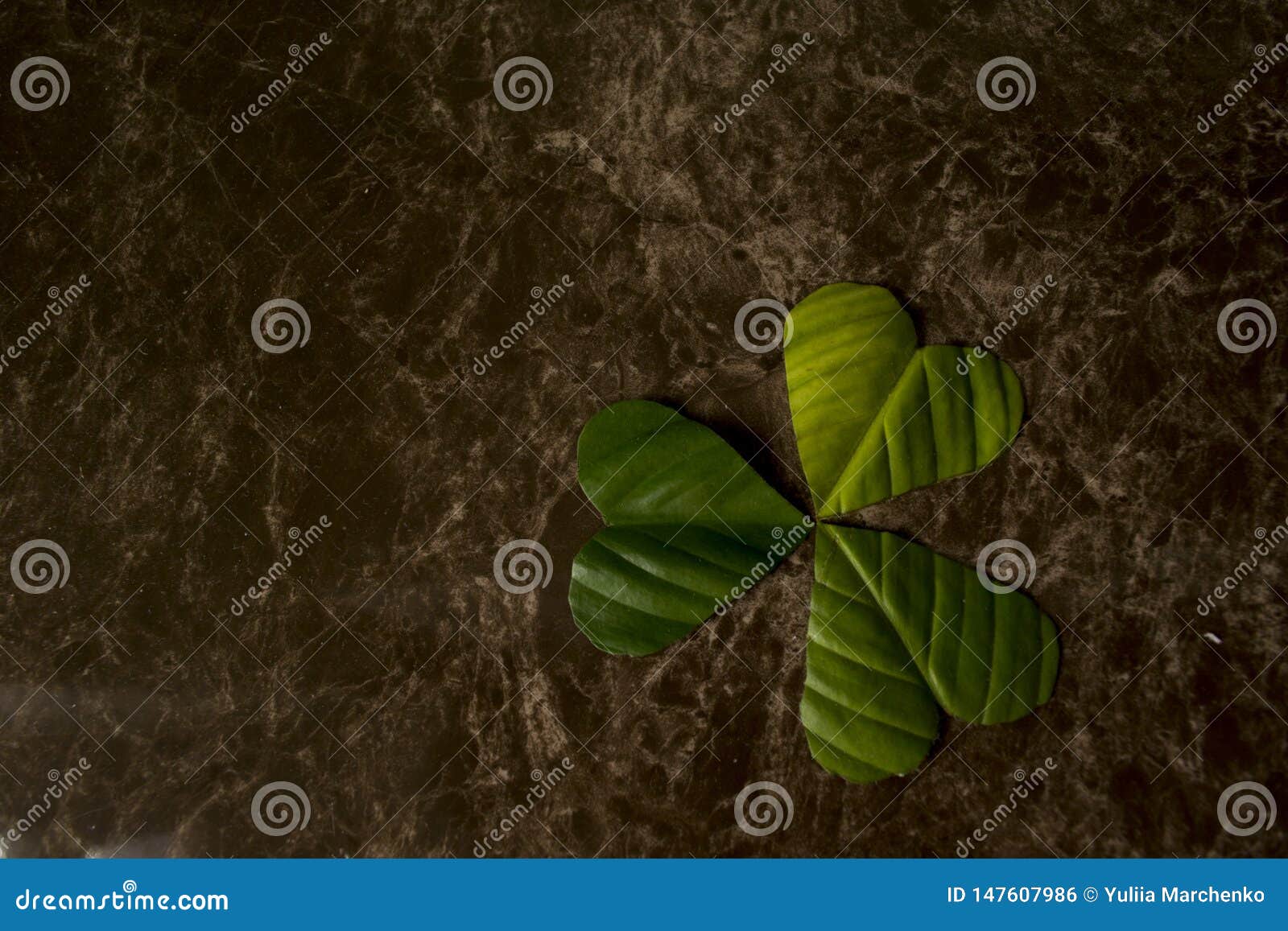 Shamrock on a marble tile stock photo. Image of isolated - 147607986