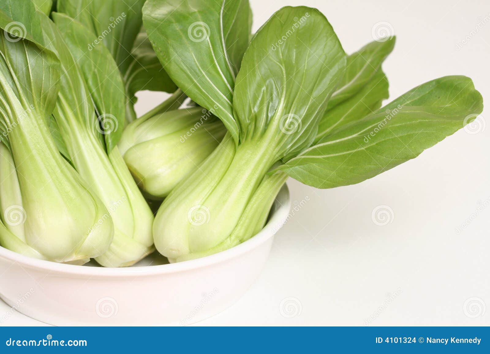 Shanghai Bok Choy stock photo. Image of vegetable, asian - 4101324