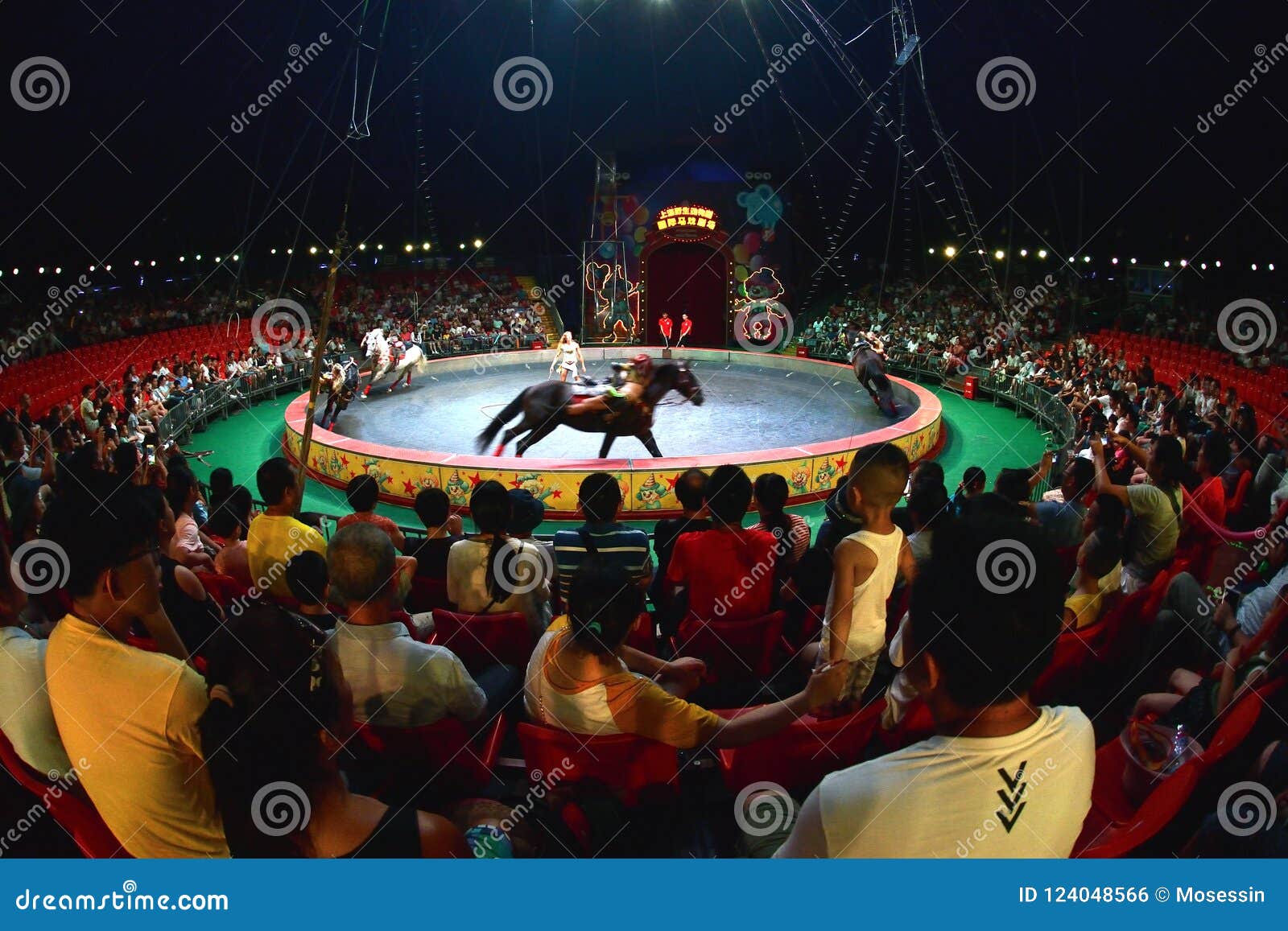 Shanghai Circus Equestrian Show Editorial Photo - Image of teamwork ...