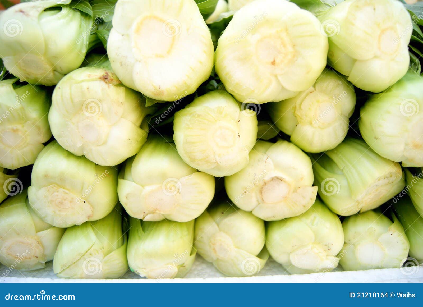 Shanghai green vegetable stock photo. Image of sale, leaves - 21210164