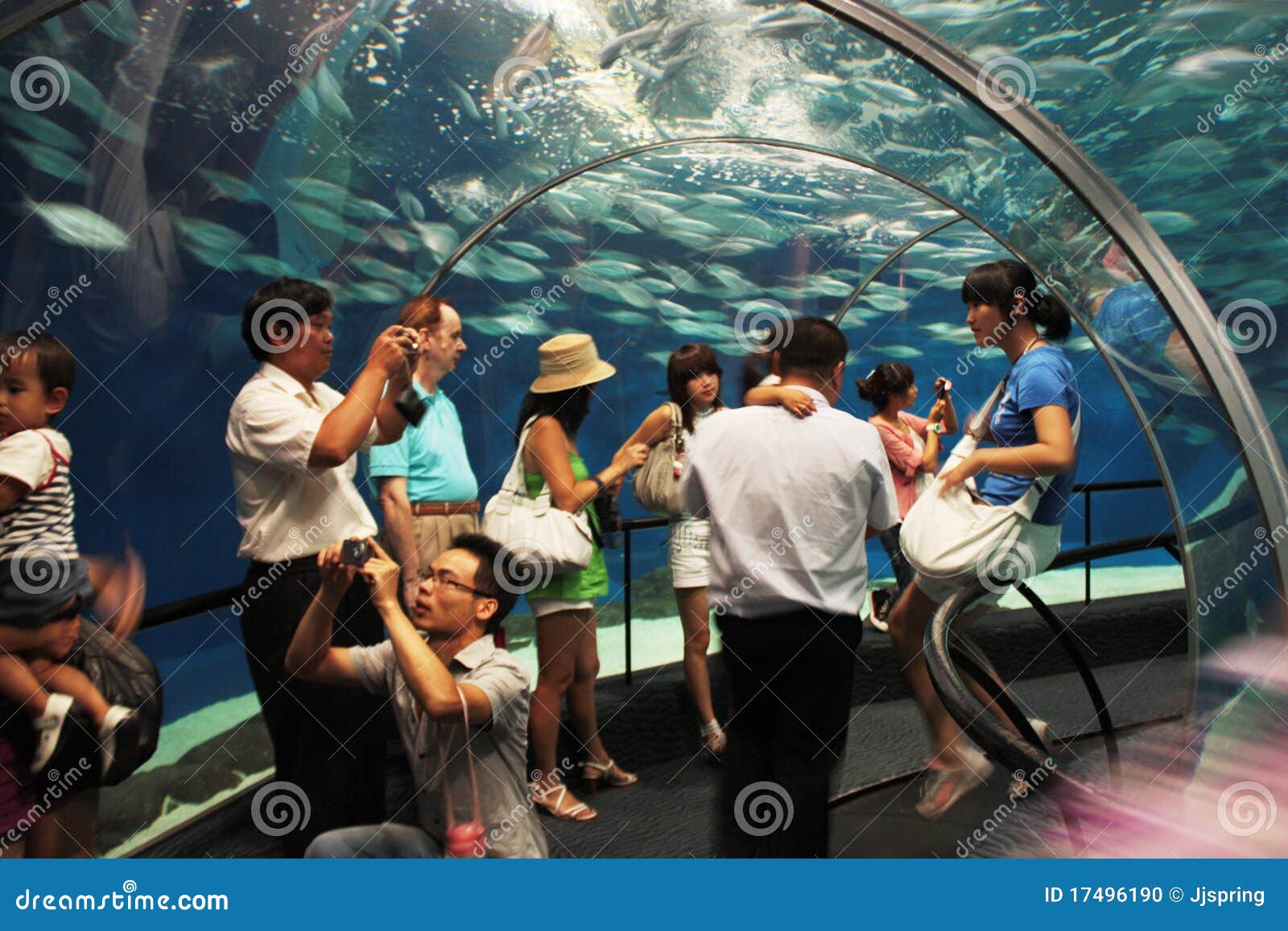 Shanghai Ocean Aquarium editorial image. Image of fuzzy - 17496190