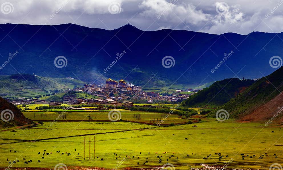 Shangri-La Ranch scenery stock photo. Image of scenic - 10256412