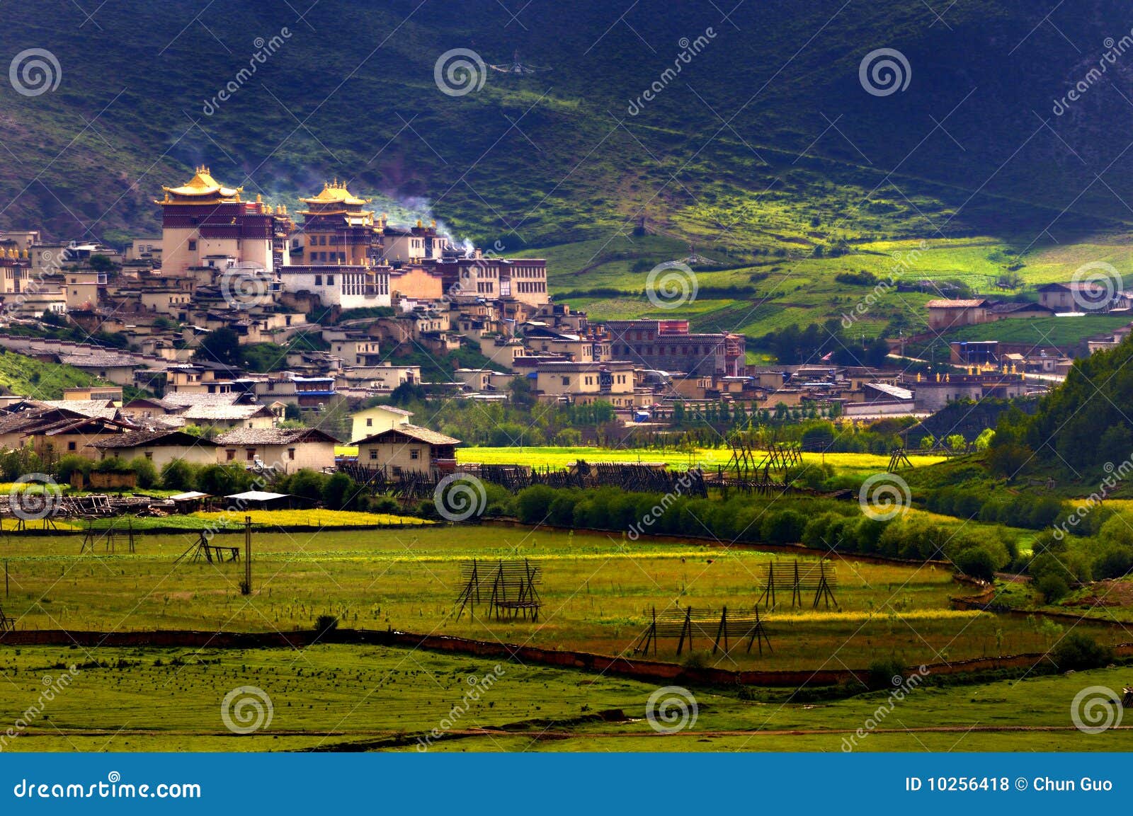 Shangri-La Ranch scenery stock photo. Image of flower - 10256418