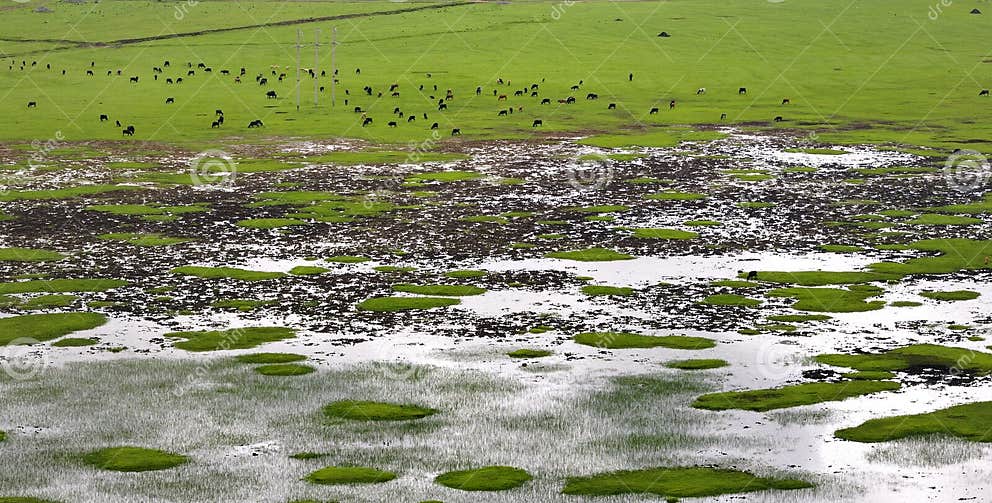 Shangri-La Ranch scenery stock image. Image of scenery - 10256539