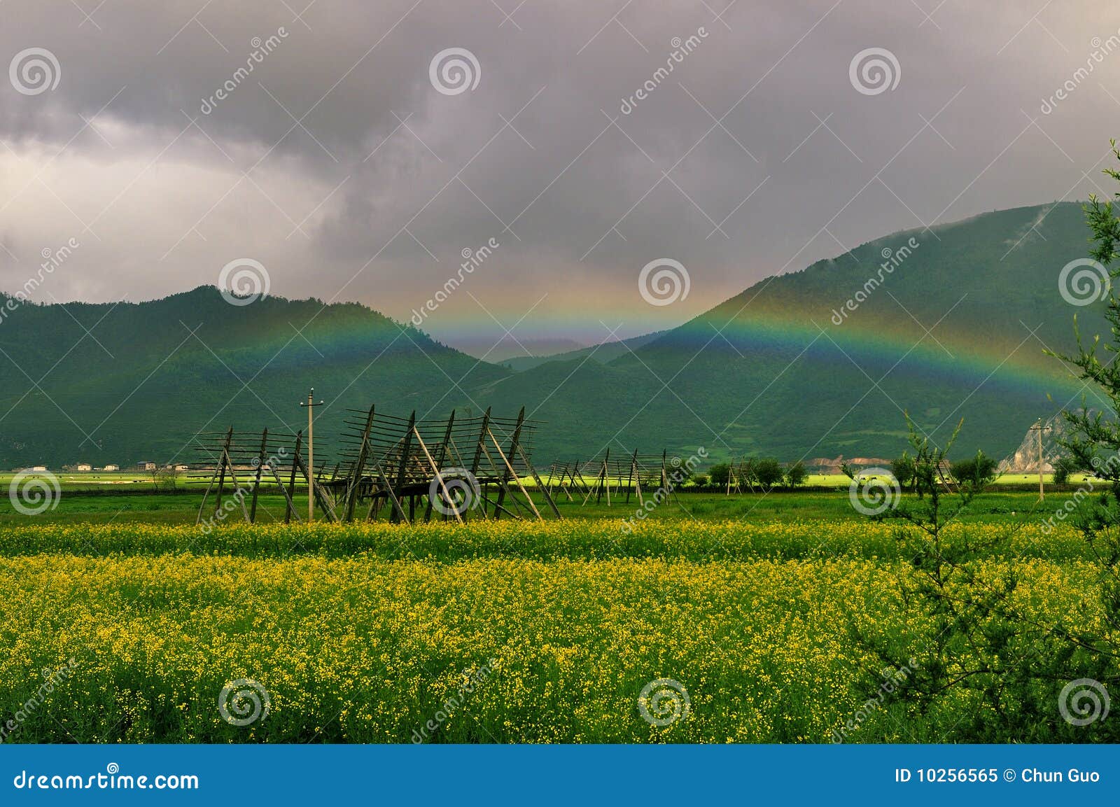 Shangri-La Ranch scenery stock image. Image of tibetan - 10256565