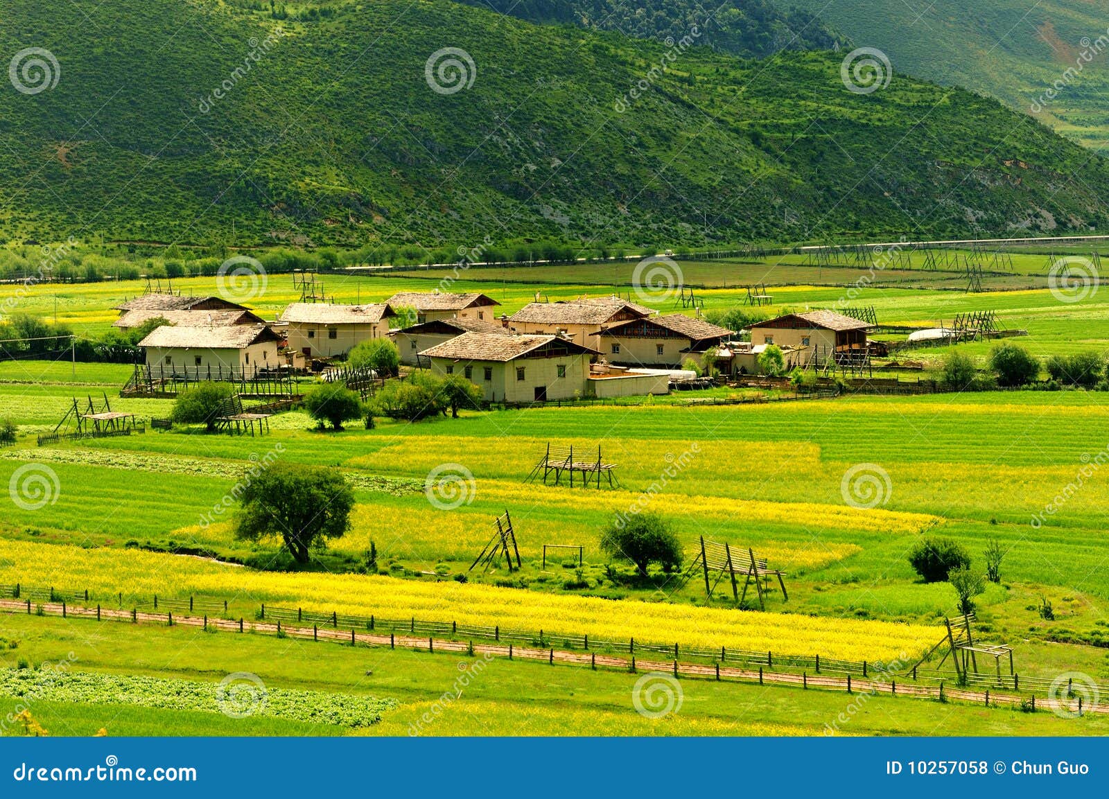 Shangri-La Ranch scenery stock photo. Image of flower - 10257058