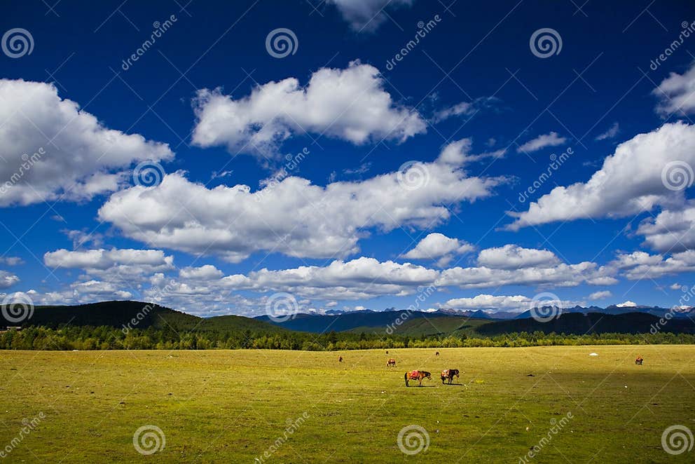 Shangri-La Ranch scenery stock photo. Image of legend - 28369480