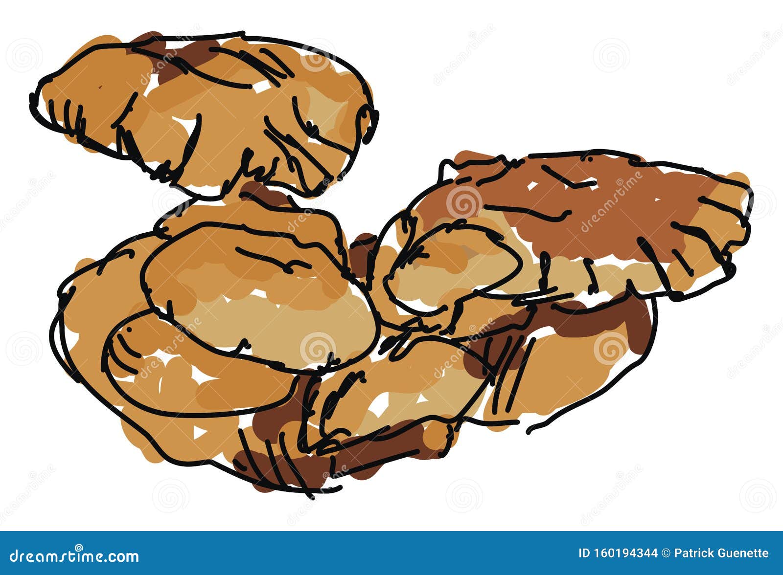 Shank, Illustration, Vector Stock Vector - Illustration of icon ...