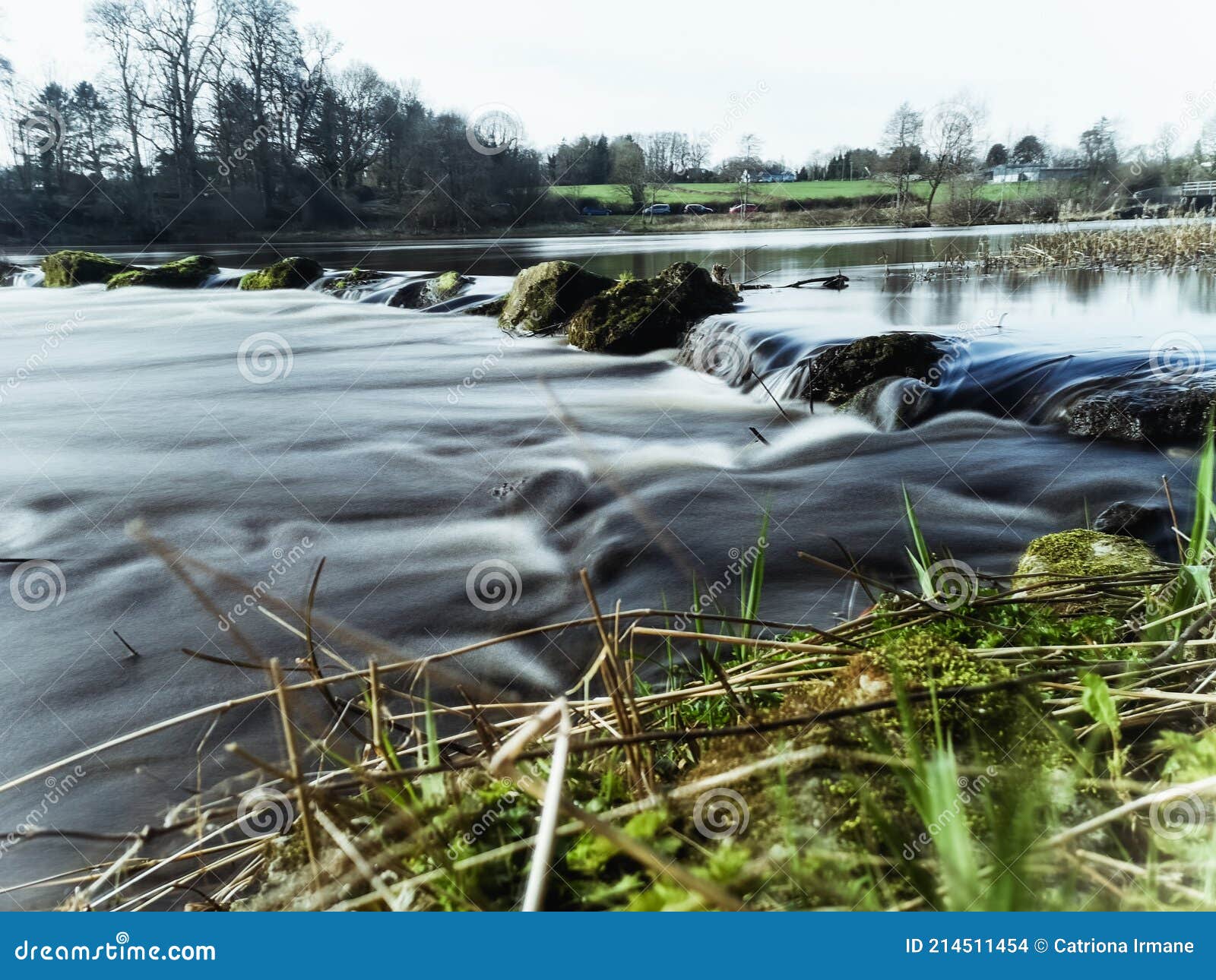 Shannon River in Castleconnell Stock Photo - Image of water, wetland ...