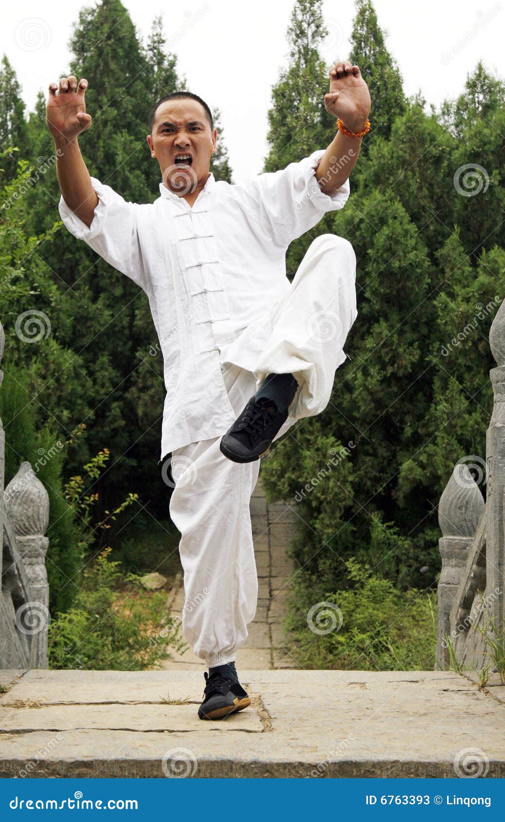 Shaolin Boxing.China stock image. Image of kung, hand - 6763393