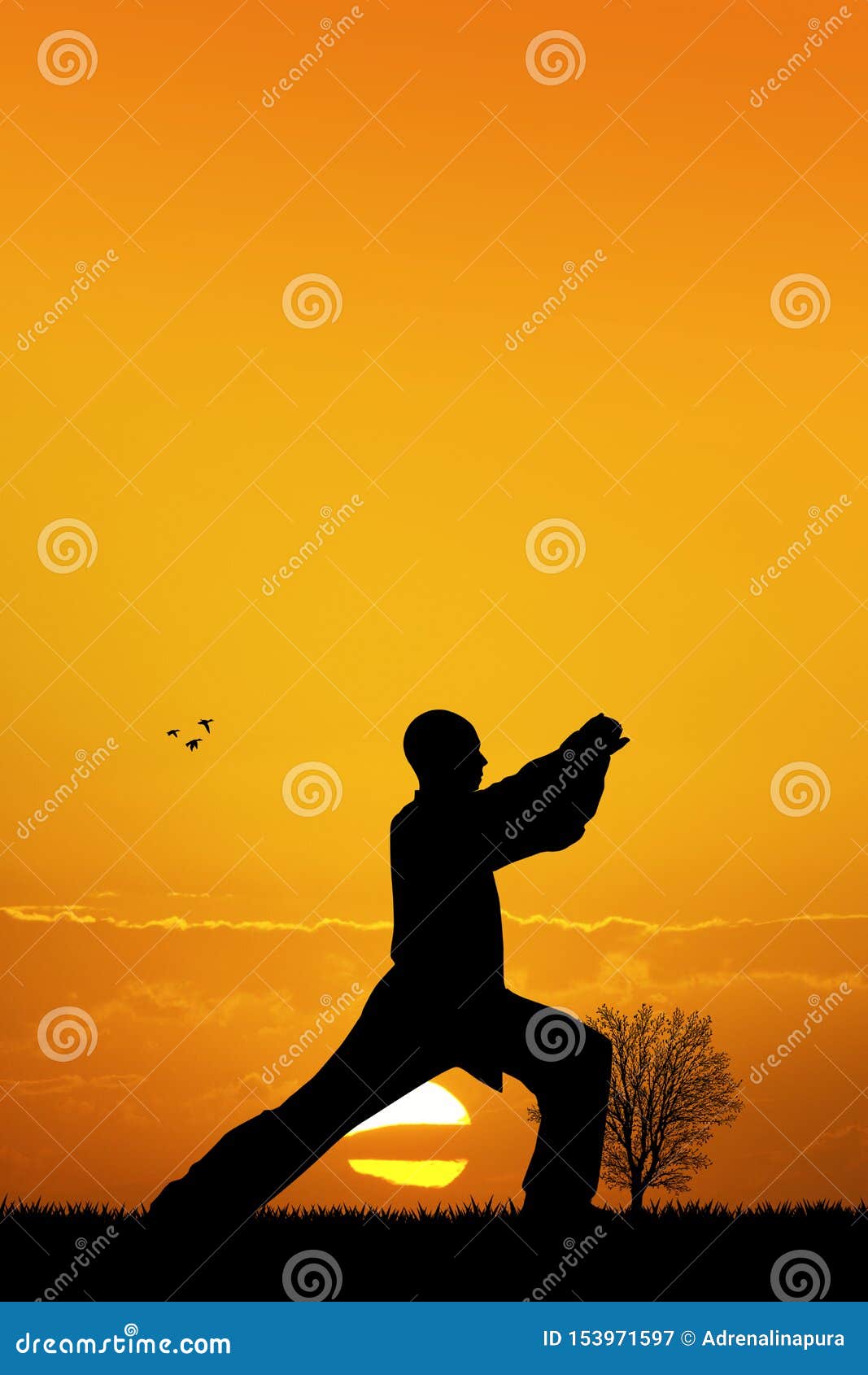Shaolin At Sunset Royalty-Free Stock Photography | CartoonDealer.com ...