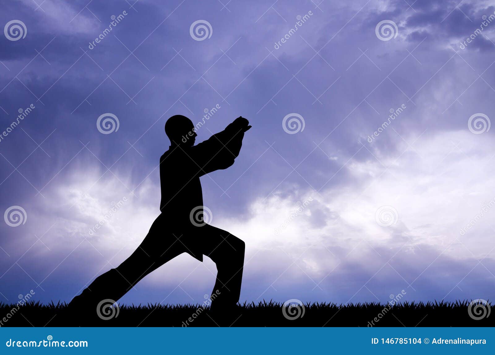 Shaolin at sunset stock photo. Image of active, shaolin - 146785104