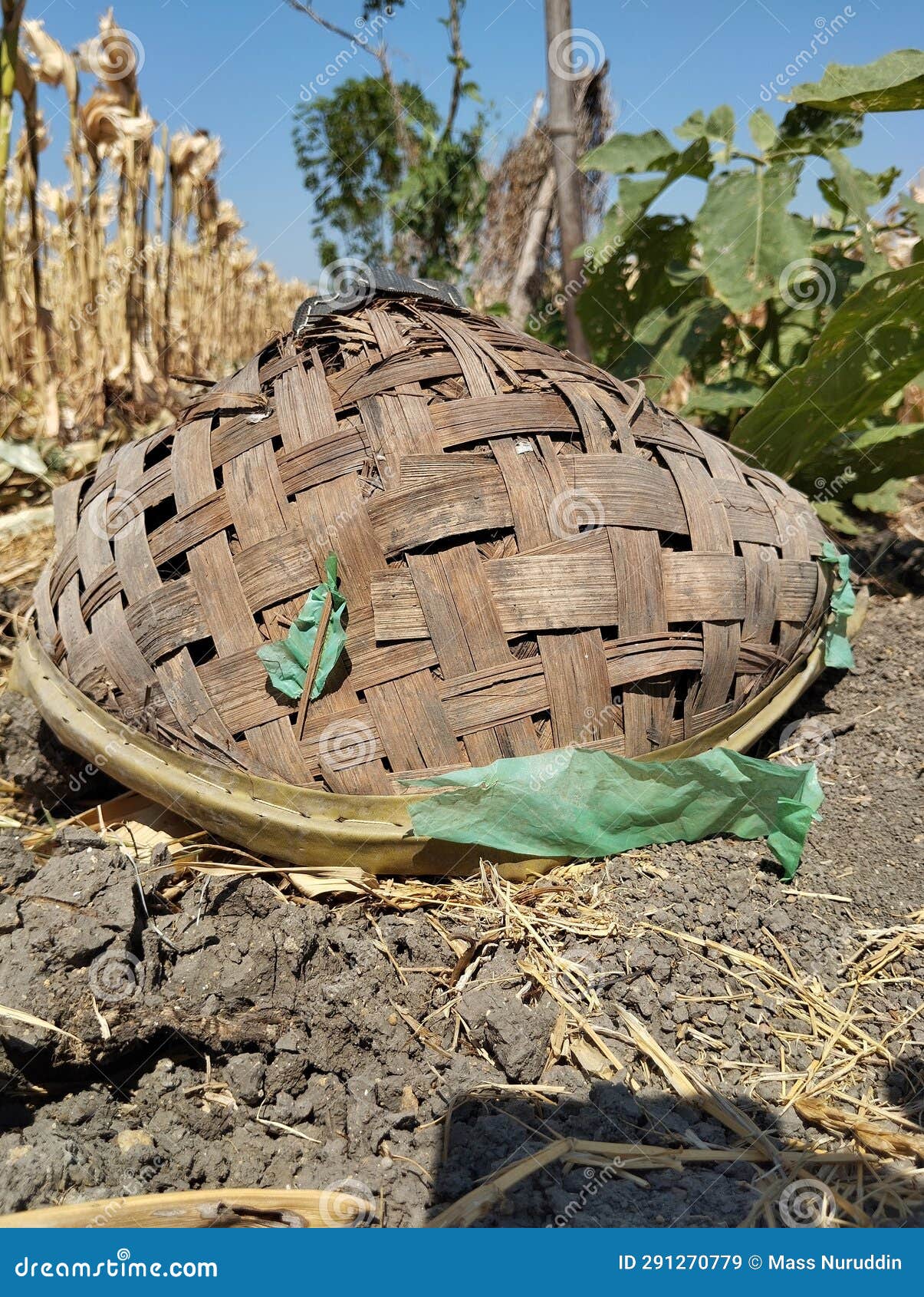 The Shape of an Ancient Farmer S Hat Stock Image - Image of soil, tree ...