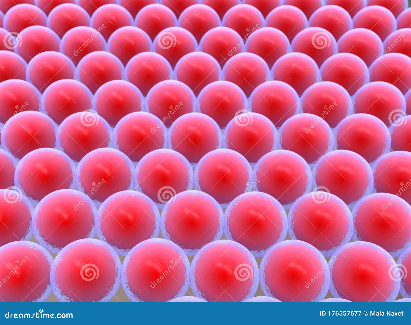 Cocci Shape of Bacteria. 3d Stem Cells. Stock Illustration ...
