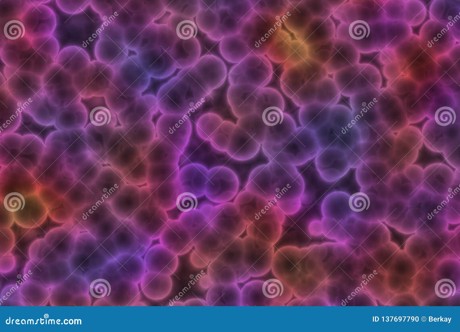 Shape of Bacterial Cell: Cocci, Bacilli, Spirilla Bacteria Stock Photo ...
