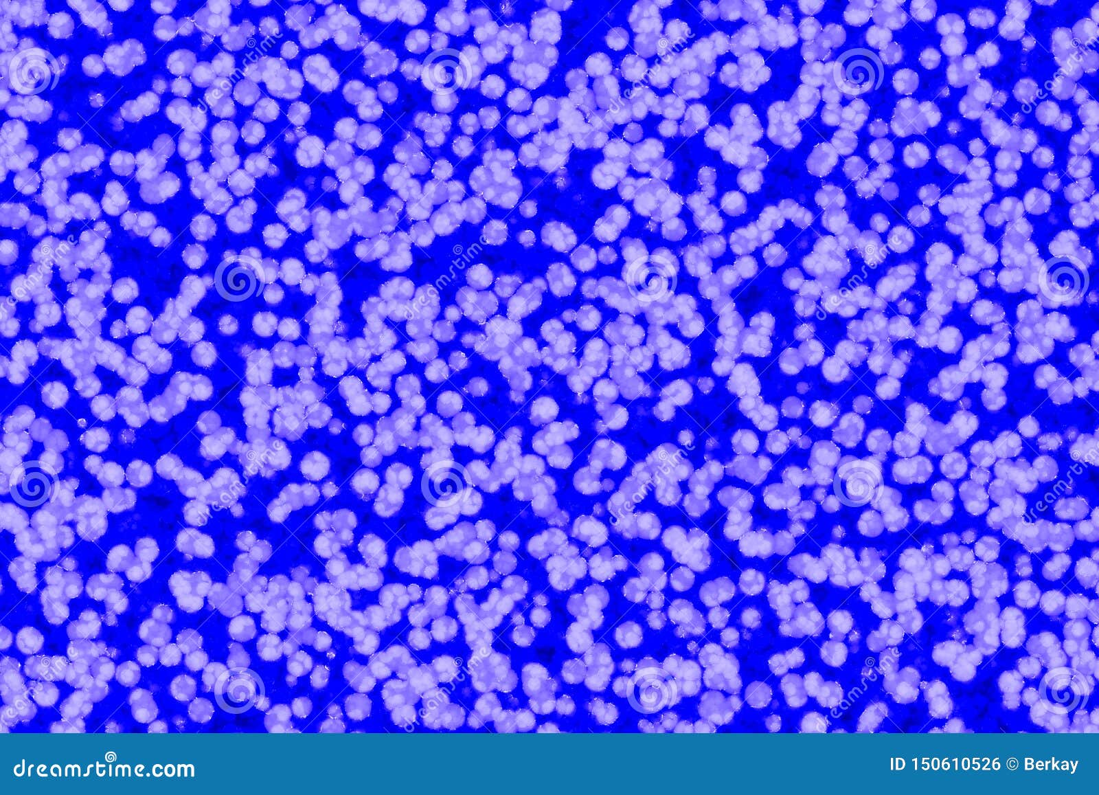 Shape of Bacterial Cell: Cocci, Bacilli, Spirilla Bacteria Stock ...