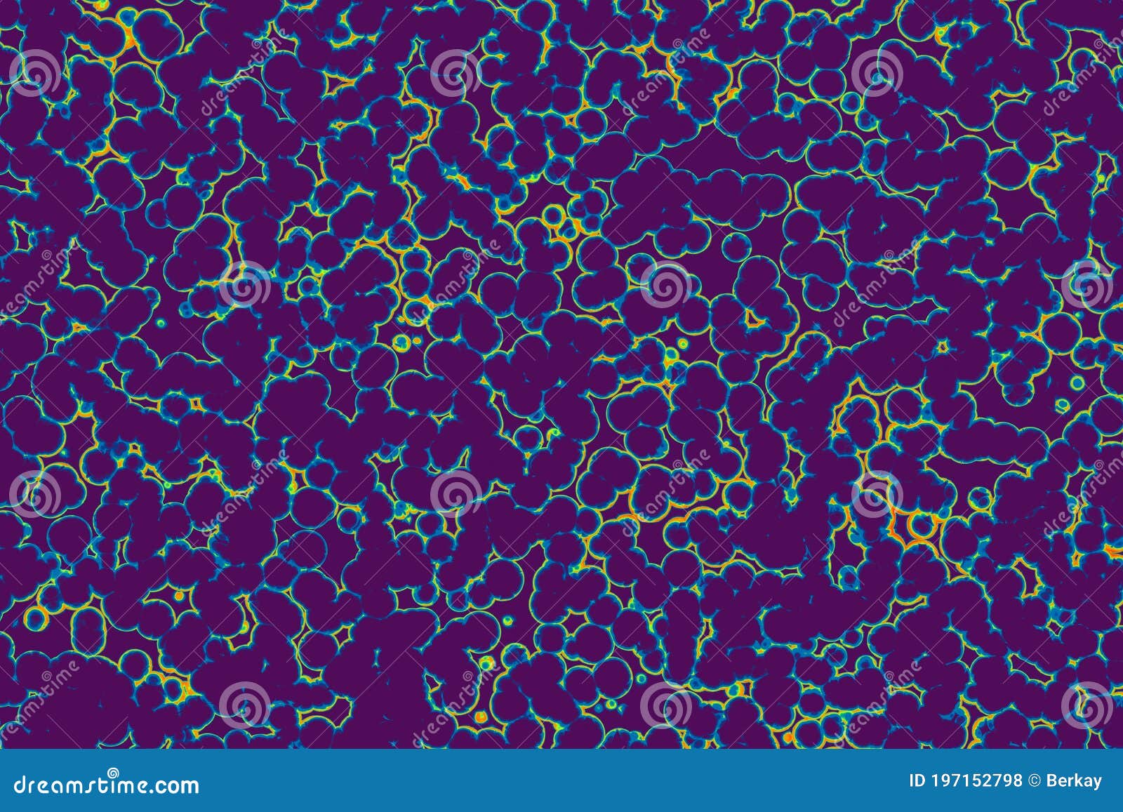 Shape of Bacterial Cell: Cocci, Bacilli, Spirilla Bacteria Stock Photo ...