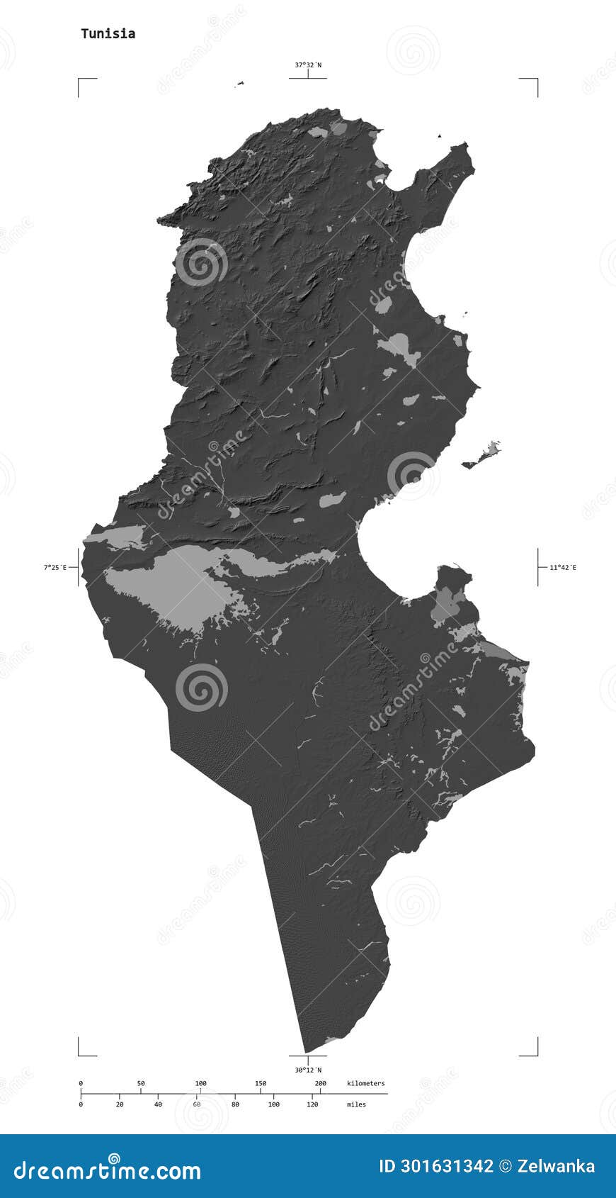 Tunisia Shape on White. Bilevel Stock Illustration - Illustration of ...