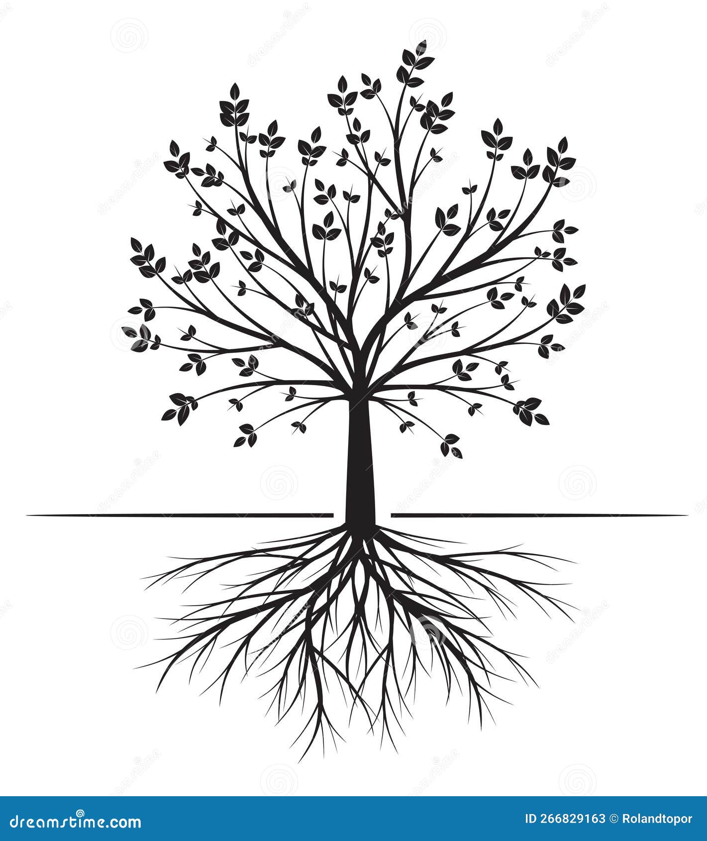 Shape of Black Tree with Leaves and Roots. Vector Outline Illustration ...