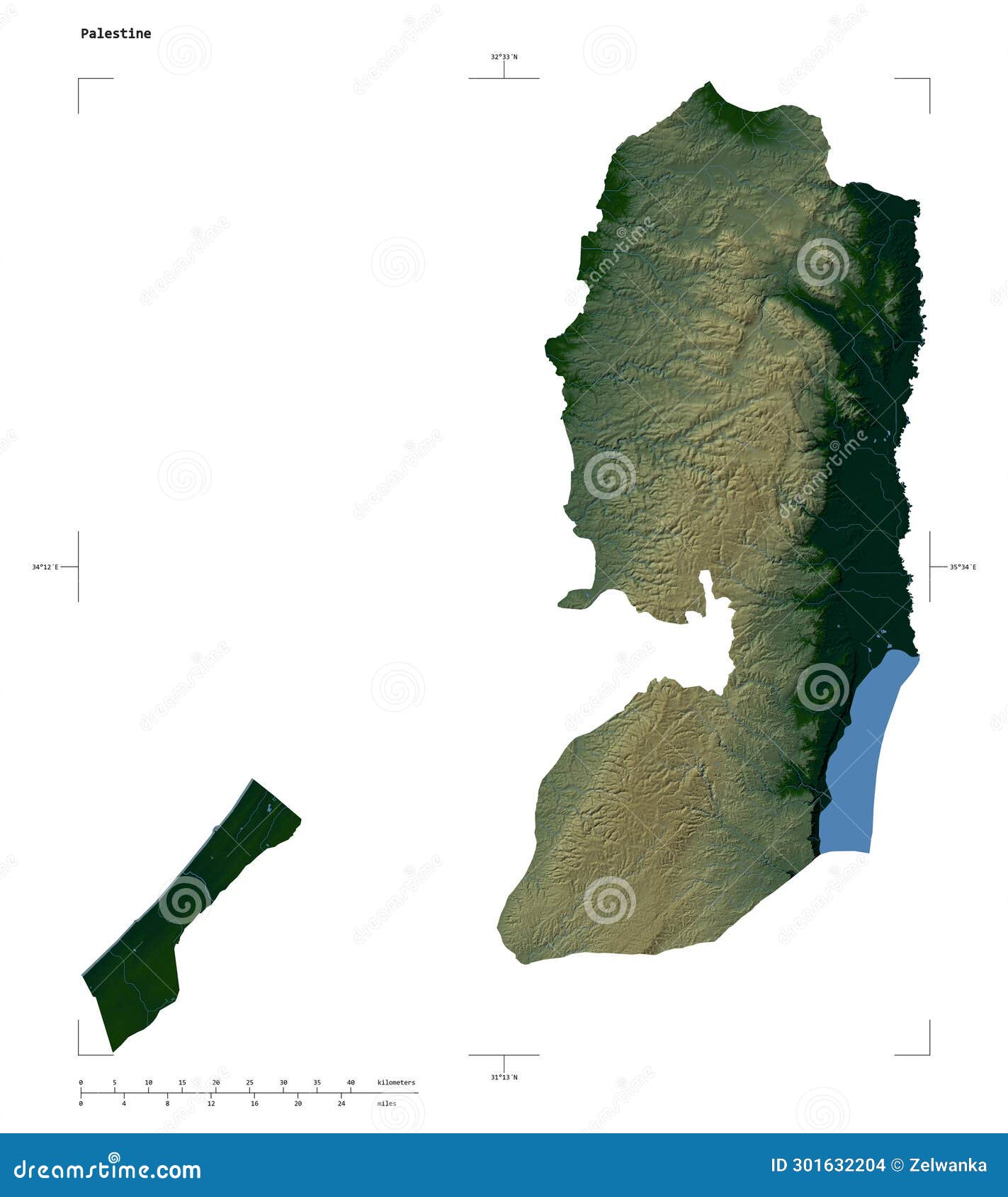 Palestine Shape on White. Physical Stock Illustration - Illustration of ...