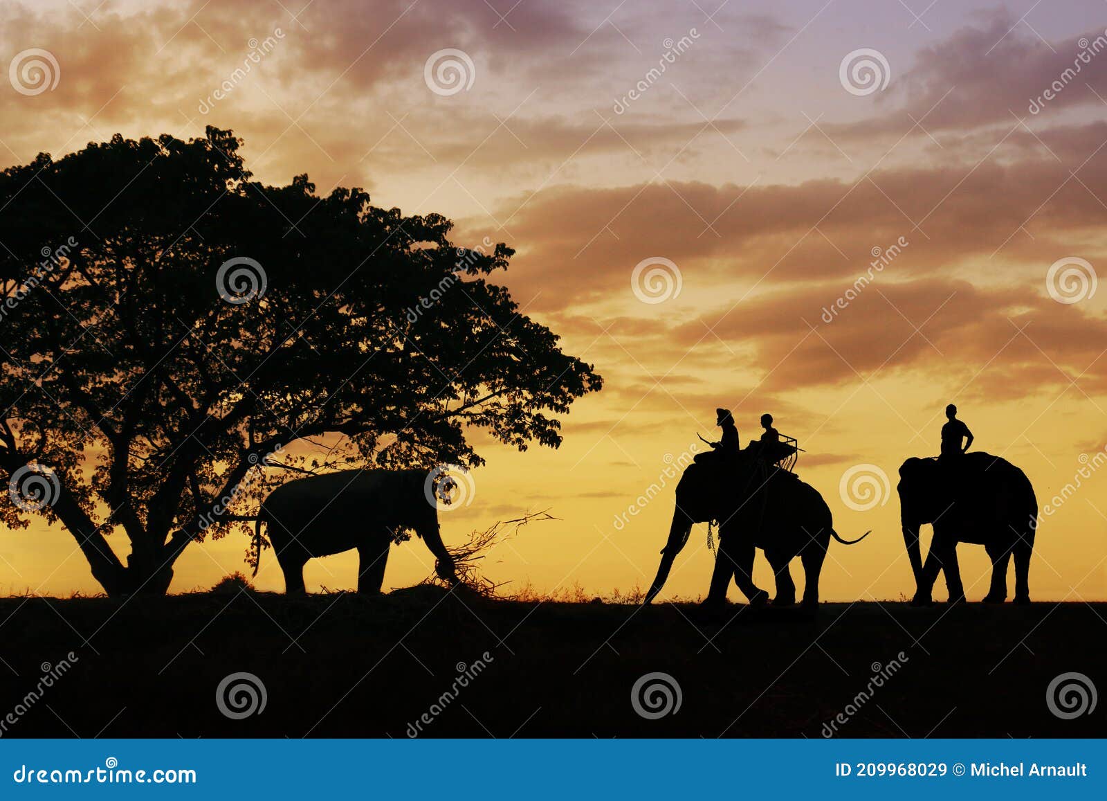 Shape of Elephant Under a Tree in the Savannah Stock Image - Image of ...