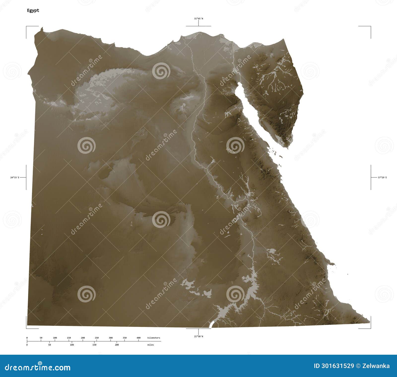 Egypt Shape on White. Sepia Stock Illustration - Illustration of egypt ...