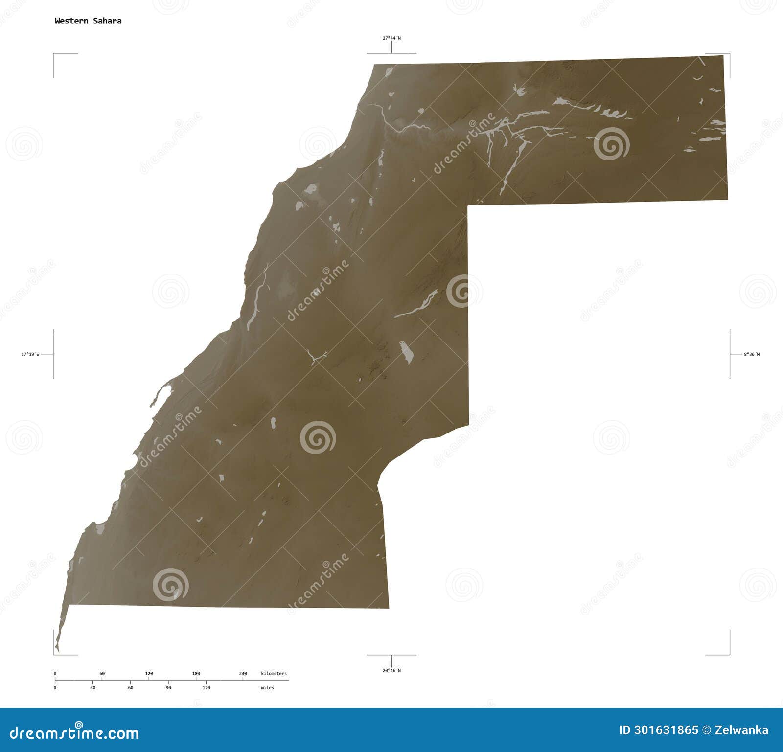 Western Sahara Shape on White. Sepia Stock Illustration - Illustration ...