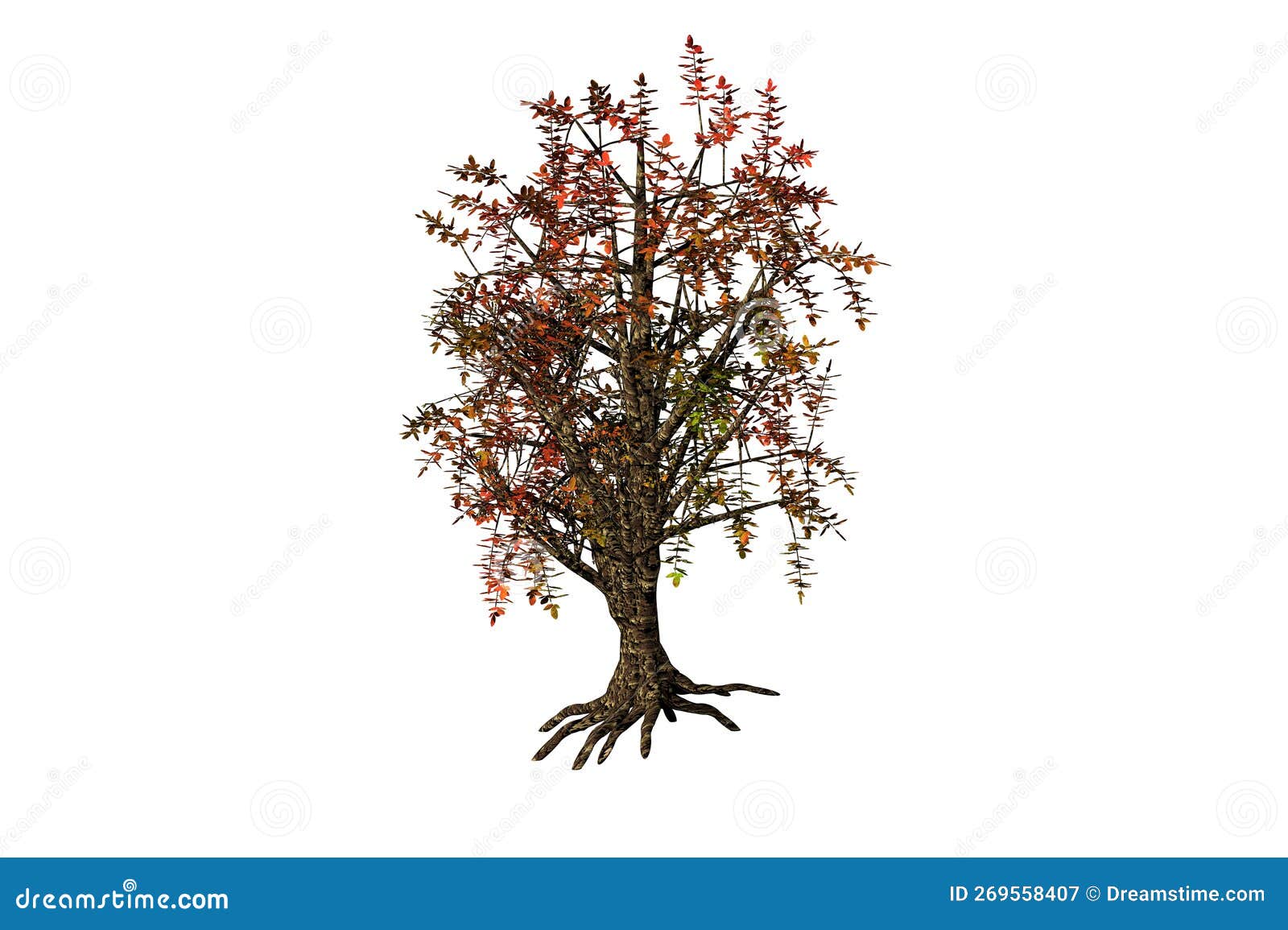 Shape Elm Tree White Background 3d Rendering Stock Illustration ...