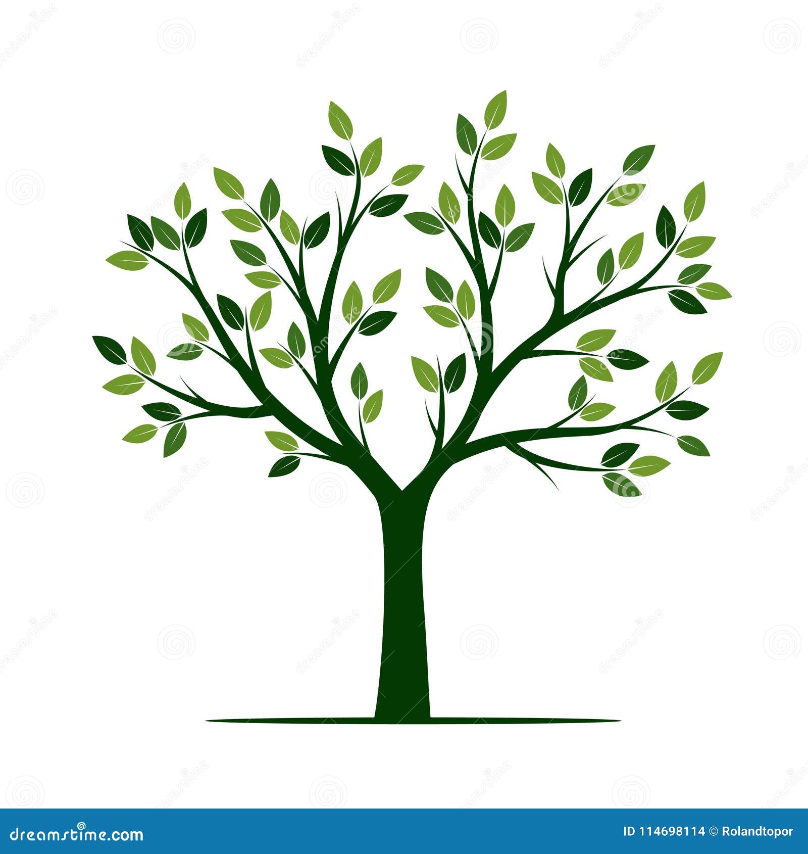 Shape of Green Spring Tree. Vector Illustration. Stock Illustration ...