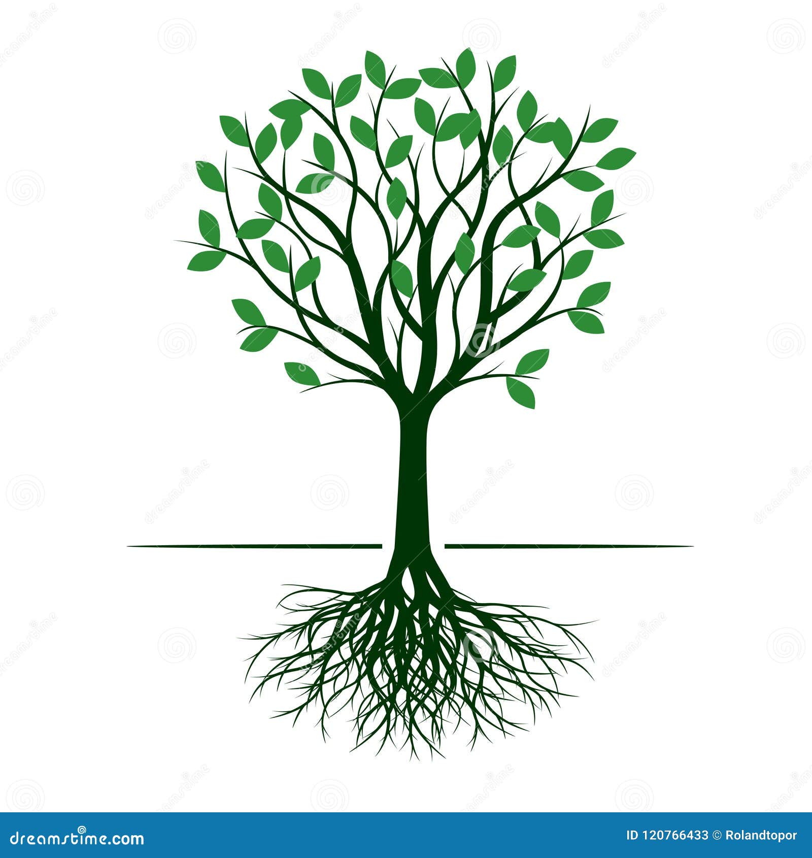 Green Tree with Leaf and Root. Vector Illustration Stock Vector ...