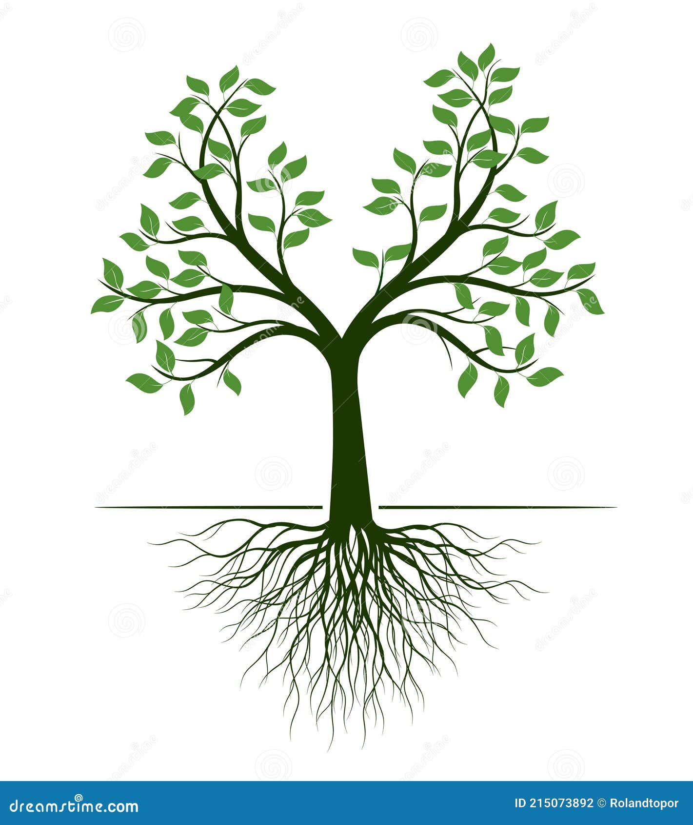 Shape of Green Tree with Roots. Vector Outline Illustration Stock ...