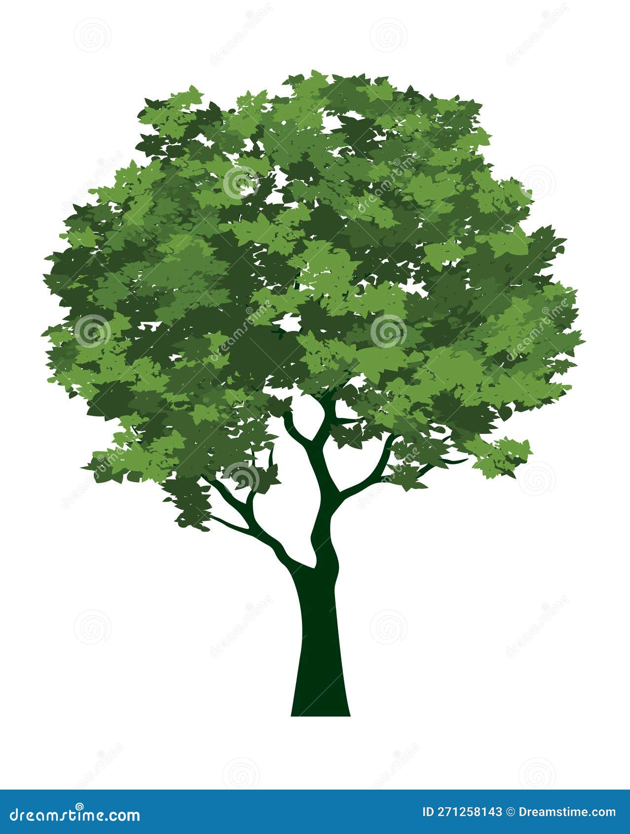 Shape of Green Tree with Roots. Vector Outline Illustration Stock ... Shape of Green Tree with Roots. Vector Outline Illustration Stock ...
