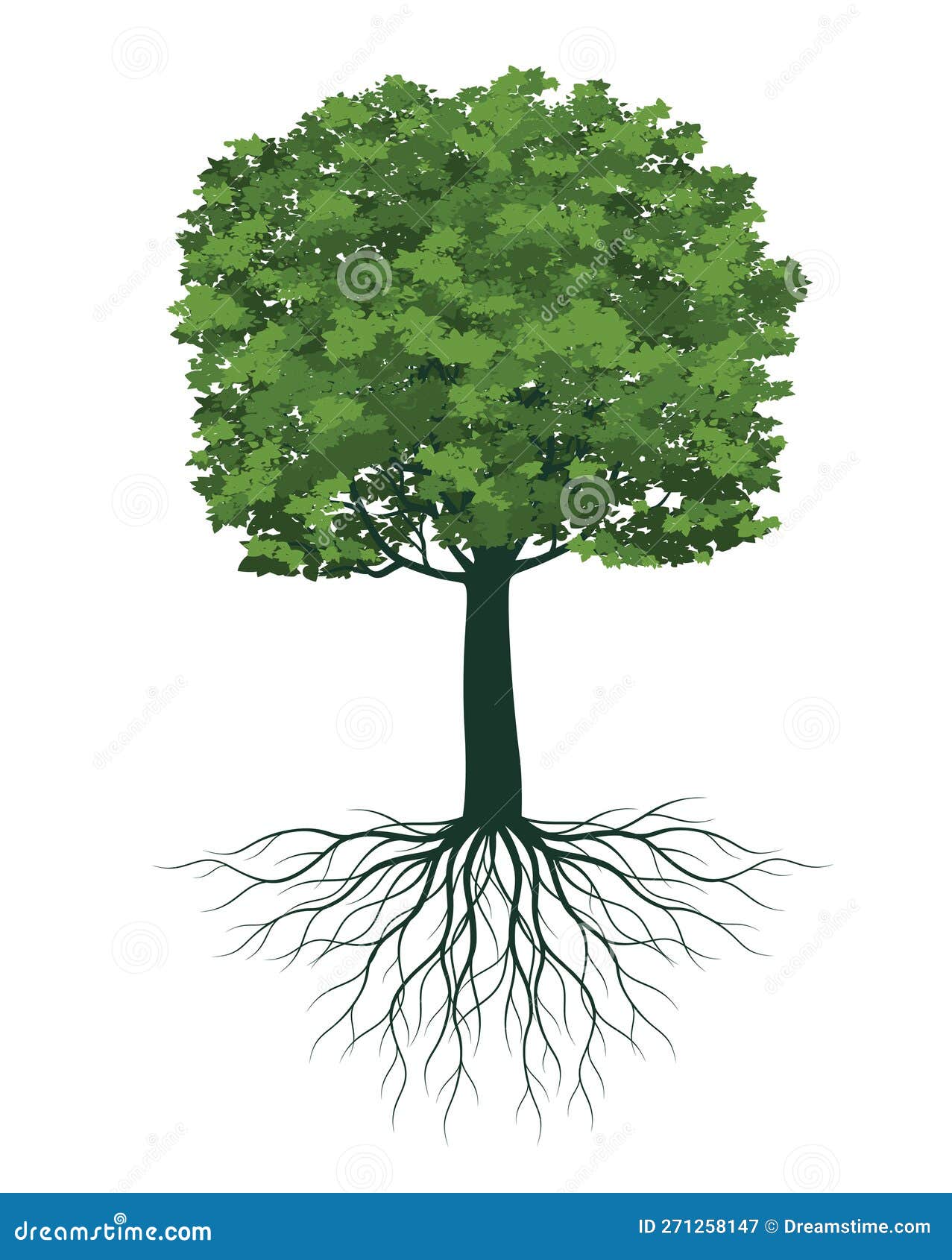 Shape of Green Tree with Roots. Vector Outline Illustration Stock ... Shape of Green Tree with Roots. Vector Outline Illustration Stock ...