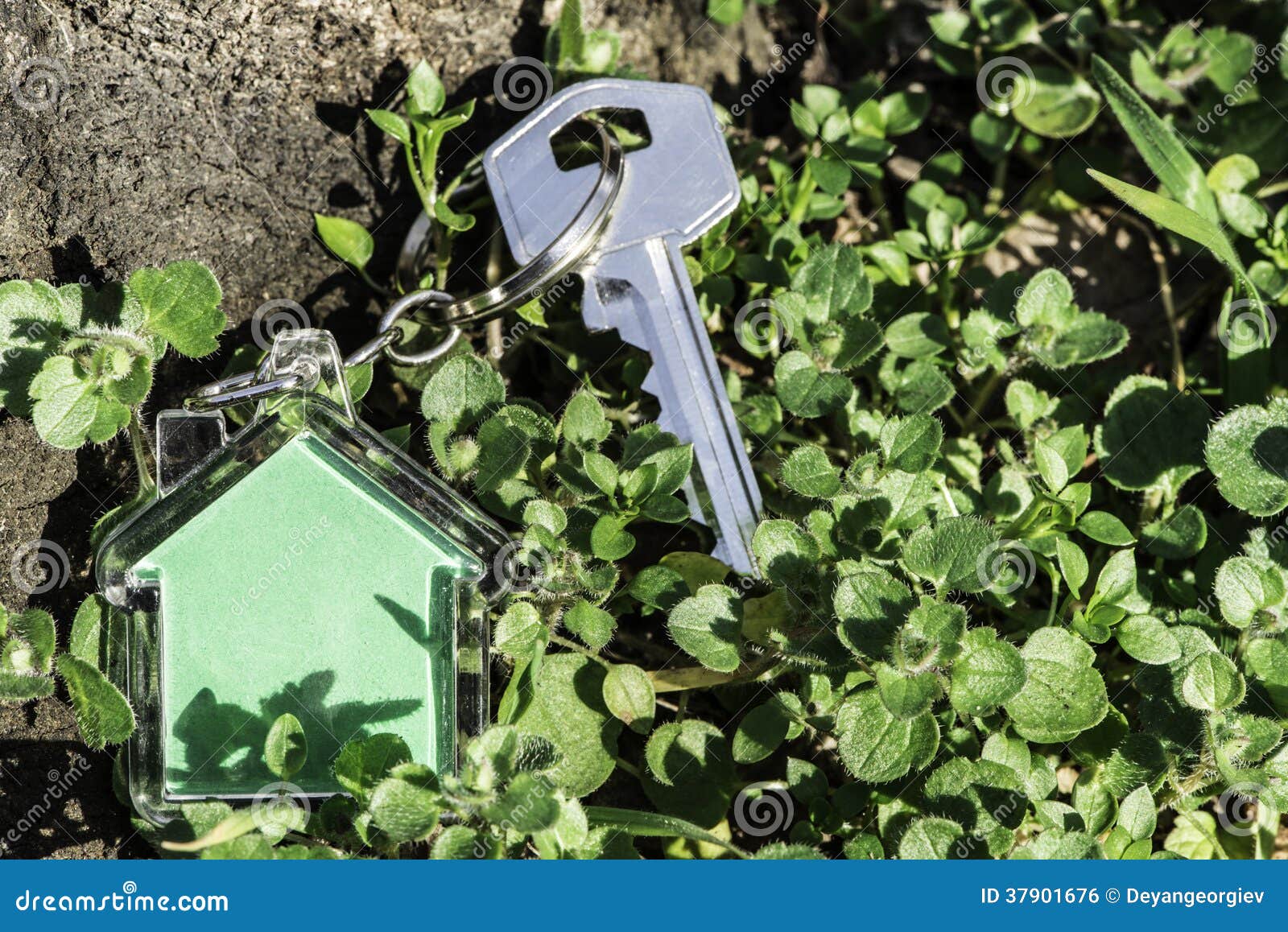 Shape of a House on Grass and Keys Stock Photo - Image of clean, keys ...
