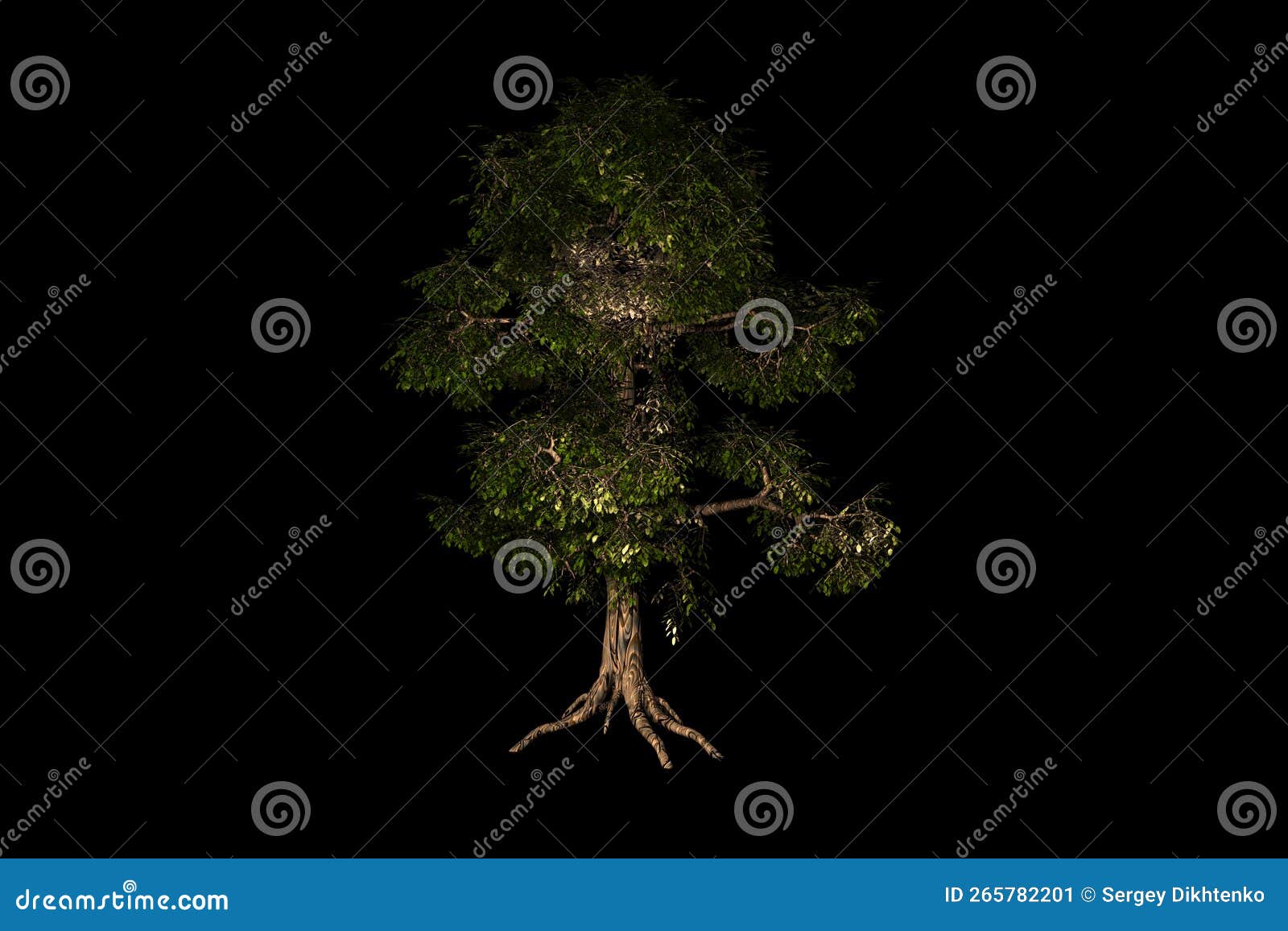 Shape Maple Tree Black Background 3d Rendering Stock Illustration ...