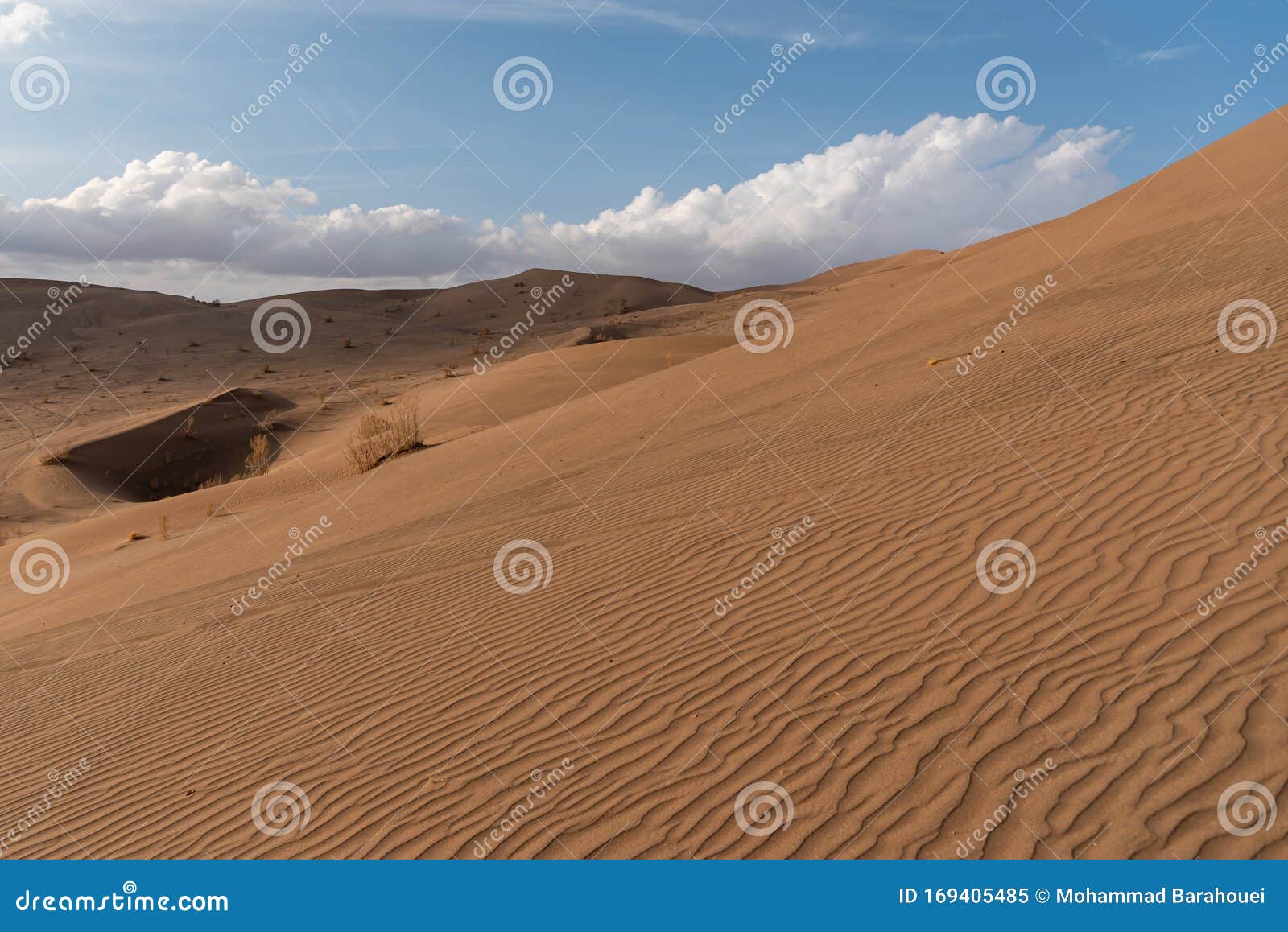 Sand dunes in lut desert stock image. Image of nature - 169405485