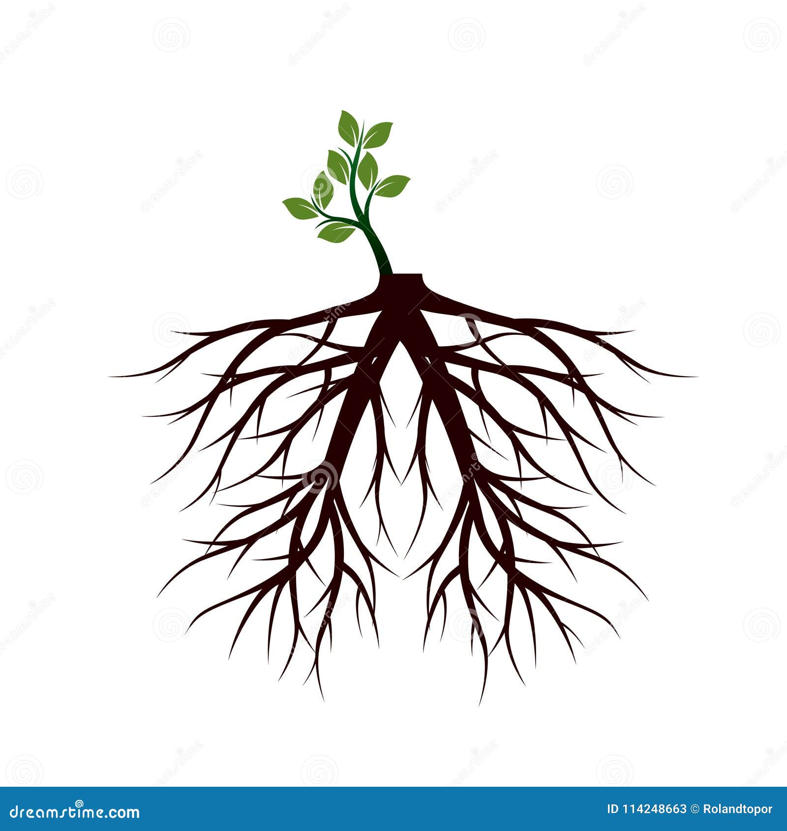Shape of Small Tree and Big Roots. Stock Vector - Illustration of ...