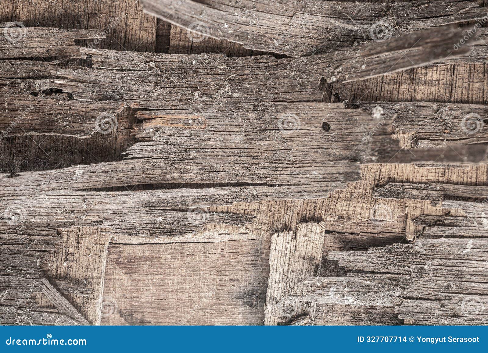 Shape and Texture of Old Decayed Wood Stock Photo - Image of shape ...