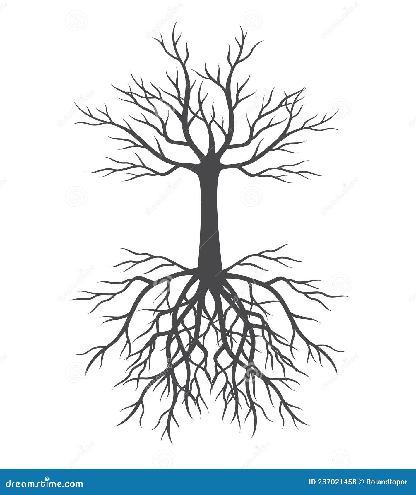 Shape of Tree with Roots. Vector Outline Illustration. Plant in Garden ...