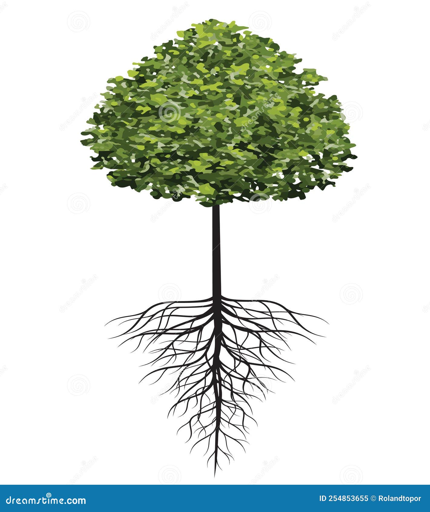 Shape of Tree with Leaves Nd Roots. Vector Outline Illustration Stock ...