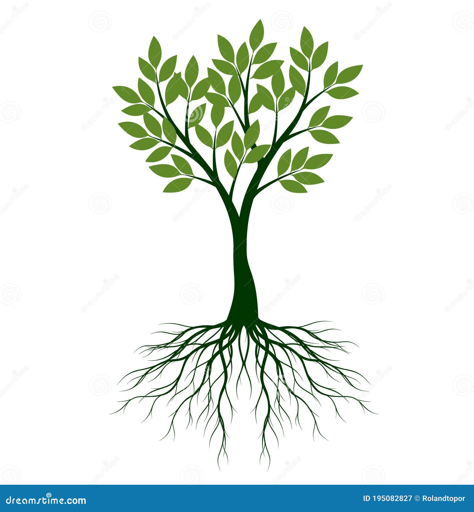 Shape of Tree with Leaves and Roots. Vector Outline Illustration Stock ...