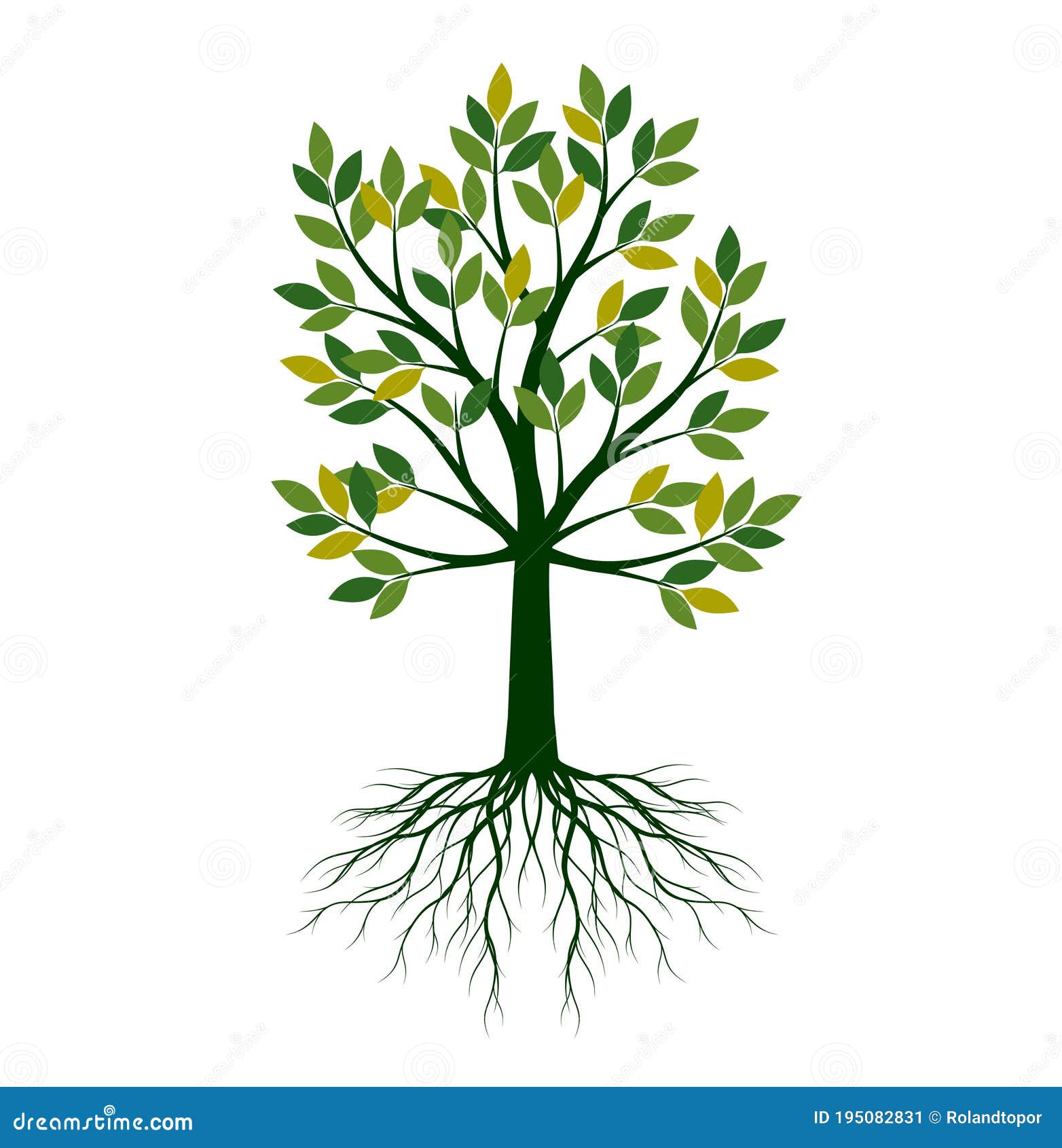 Shape of Tree with Leaves and Roots. Vector Outline Illustration Stock ...
