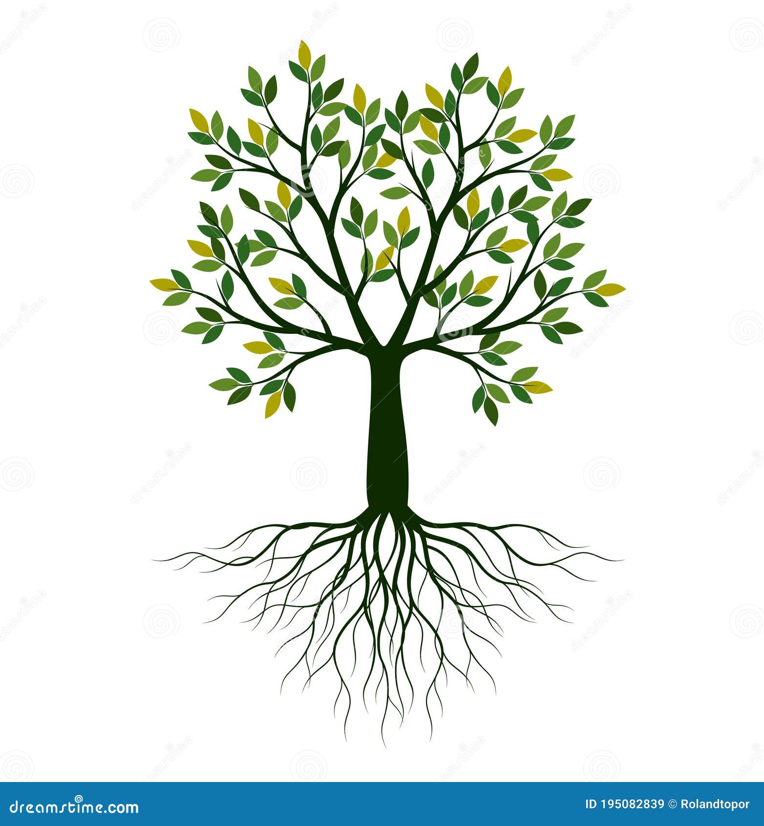 Shape of Tree with Leaves and Roots. Vector Outline Illustration Stock ...