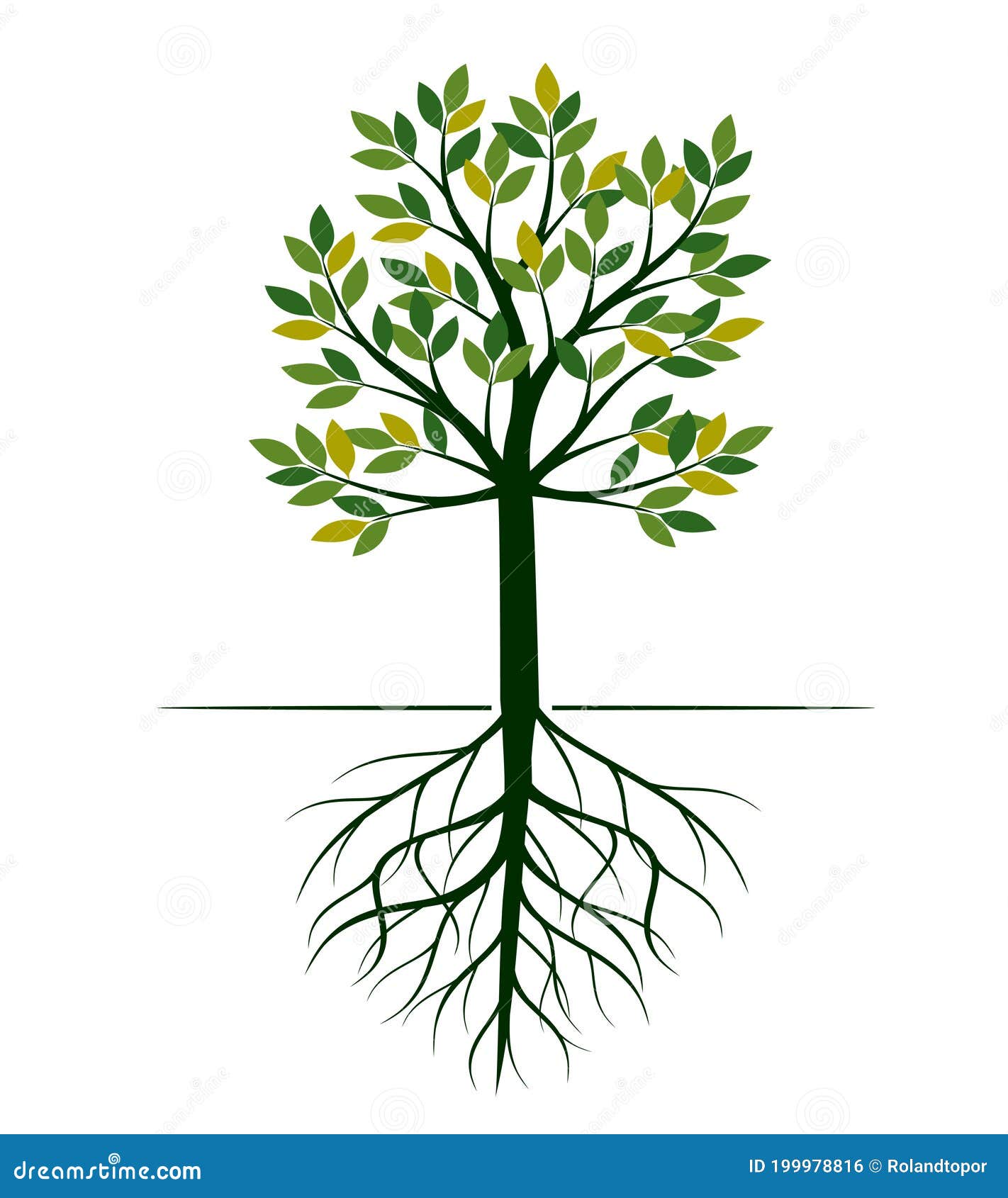 Shape of Tree with Leaves and Roots. Vector Outline Illustration Stock ...