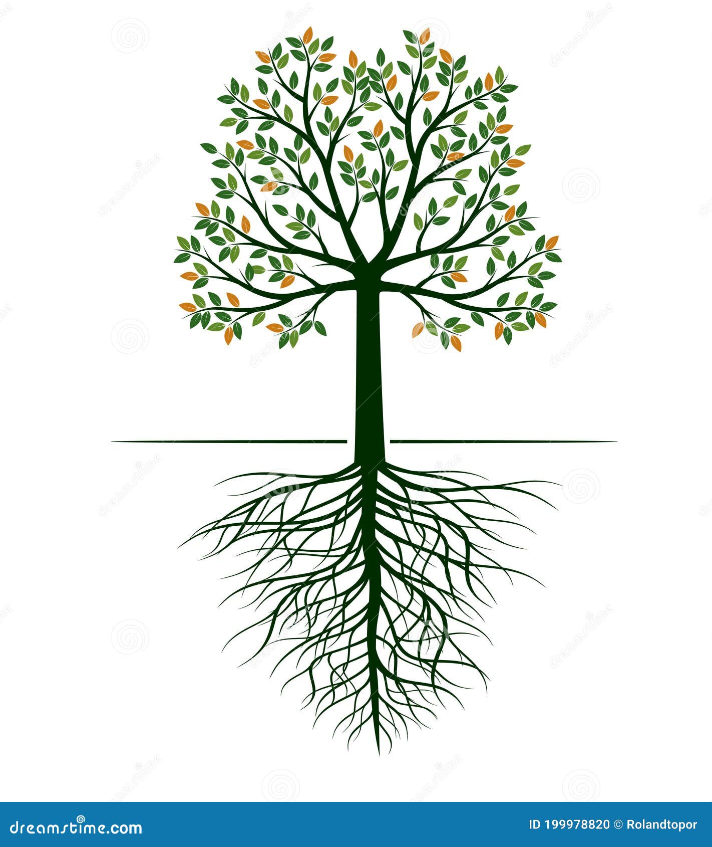 Shape of Tree with Leaves and Roots. Vector Outline Illustration Stock ...