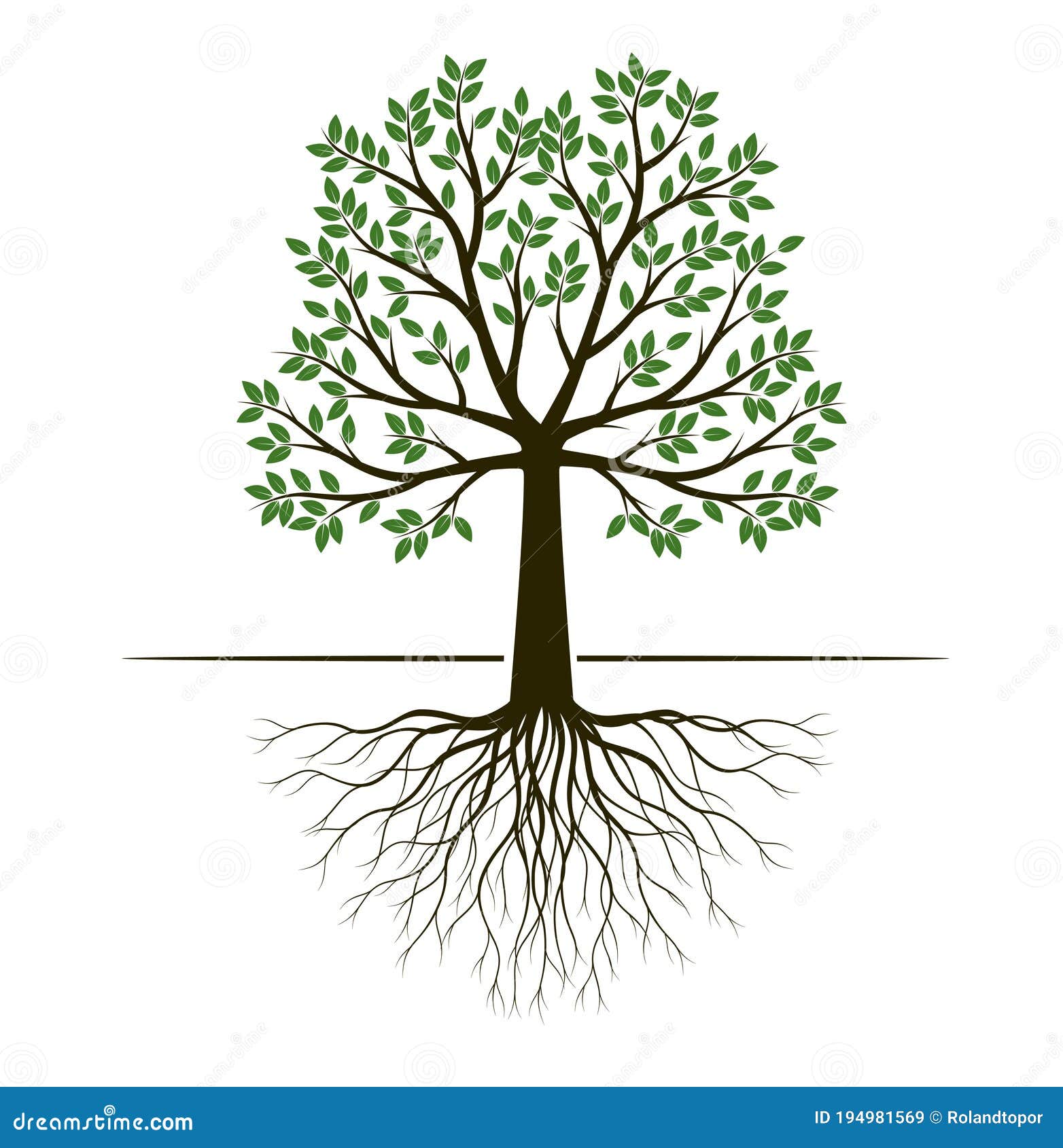 Shape of Tree with Leaves and Roots. Vector Outline Illustration Stock ... Shape of Tree with Leaves and Roots. Vector Outline Illustration Stock ...