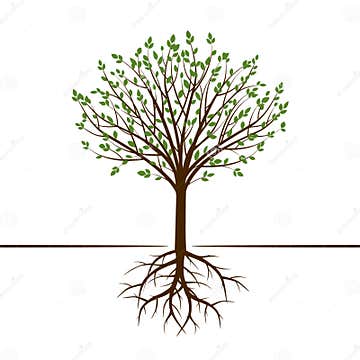 Shape of Tree and Roots. Vector Illustration Stock Vector ...